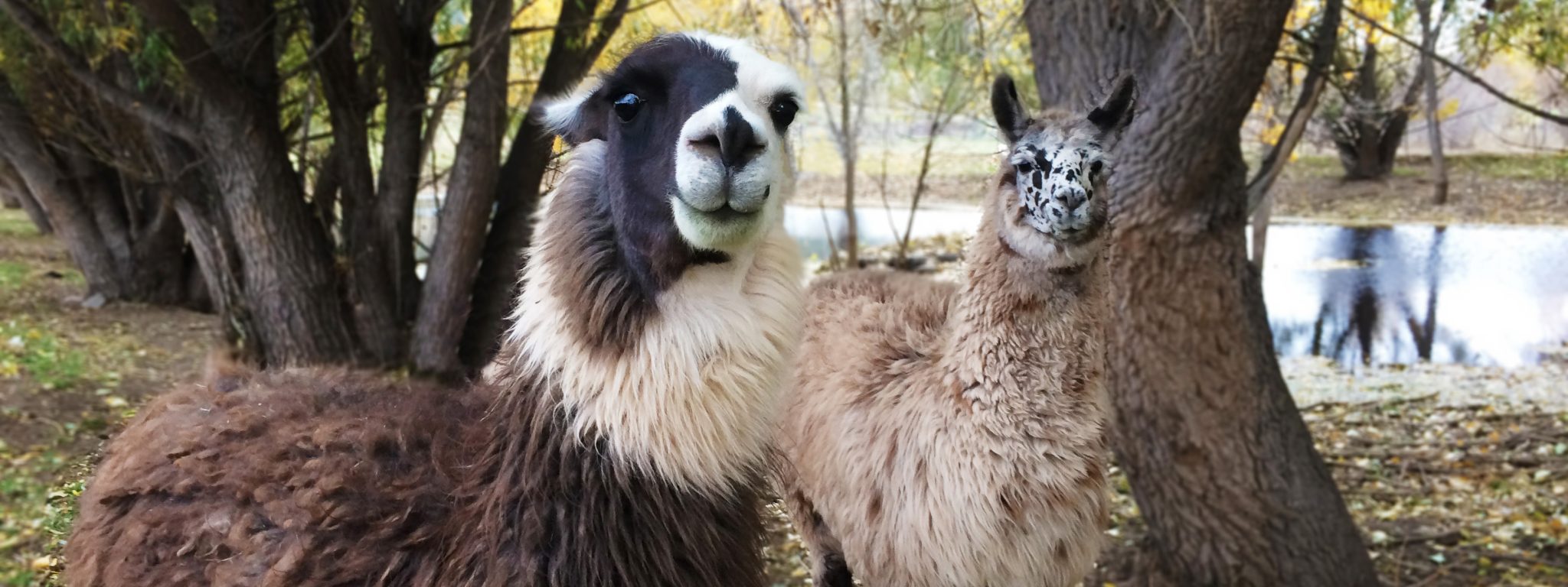 Personal Development - Sunrise Ranch