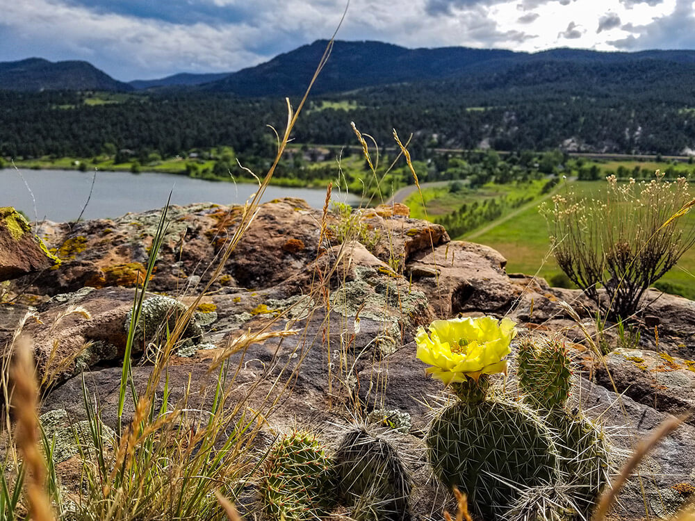 Learn More About Sunrise Ranch and How We Honor Universal Being